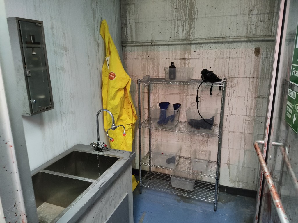 Cryptic Characters – Theatrical Escape Experiences